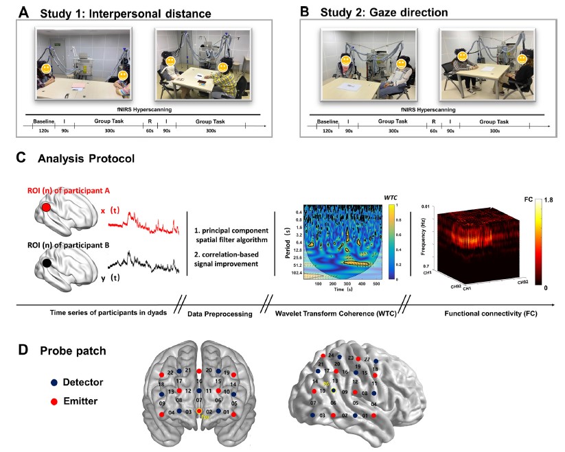 郝宁教授团队在国际高水平学术期刊 NeuroImage 发表研究成果